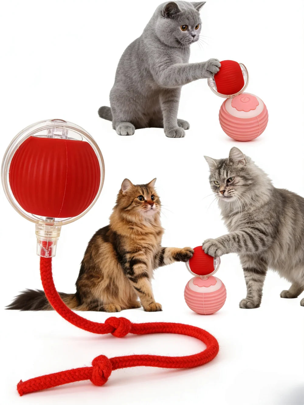 Pet Toy Ball with Tail Rope，Smart Automatic Pet Chase Ball Toy, Upgrad ...